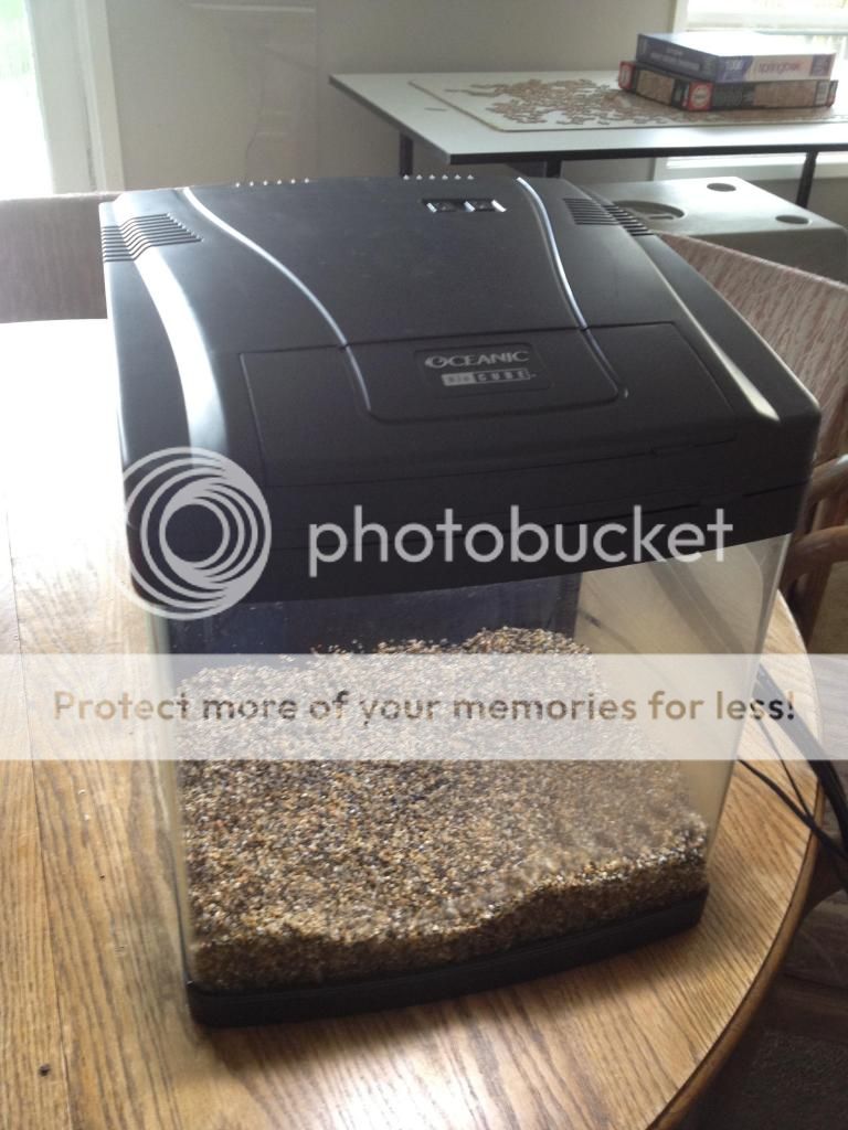 FS: 14 Gallon Oceanic BioCube | British Columbia Aquarium Forums