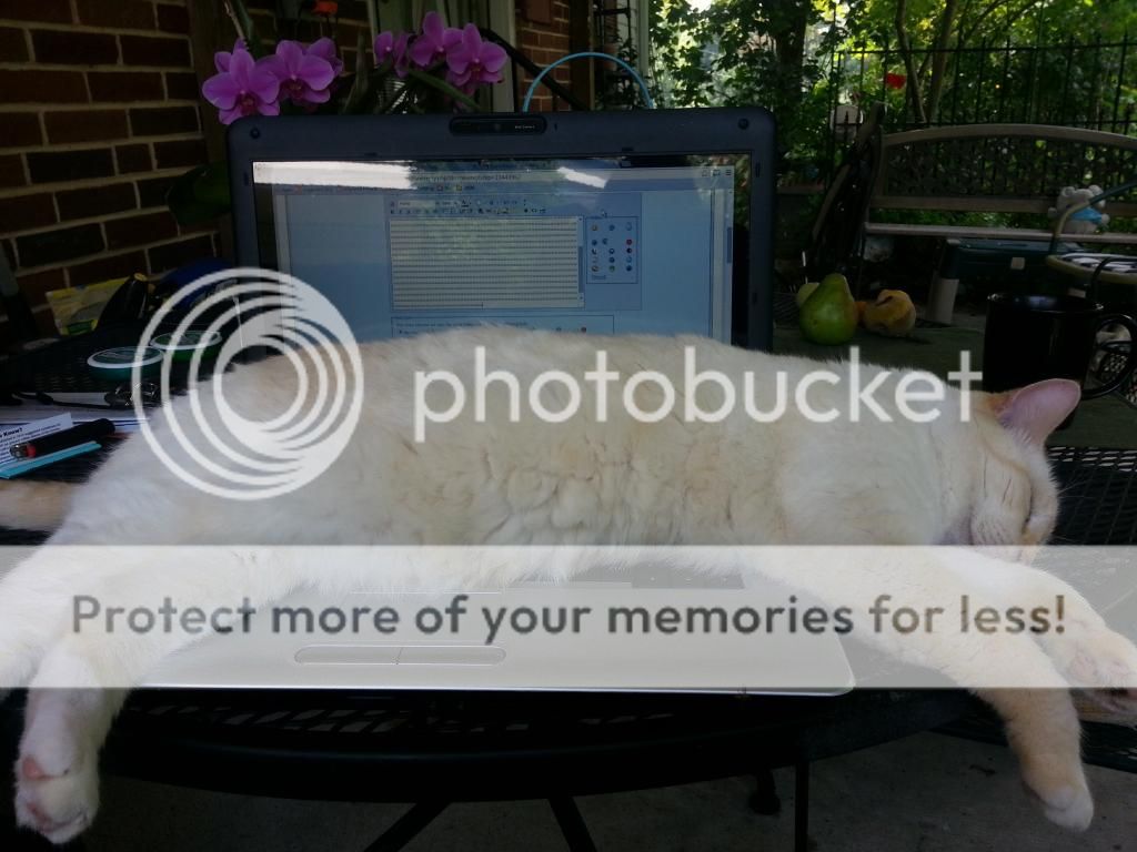 Options for all aluminum Radiator 95 impala ss??? | Chevy Impala SS Forum