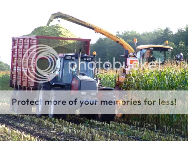 Tako Redeman de mais in « Landbouwinbeeld.nl